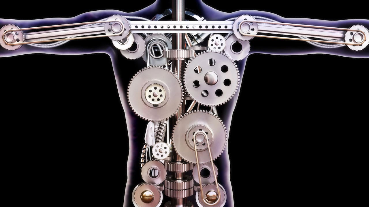 La machine humaine, la vie du bon côté.
